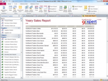 หลักสูตร Microsoft Access VBA | 9Expert