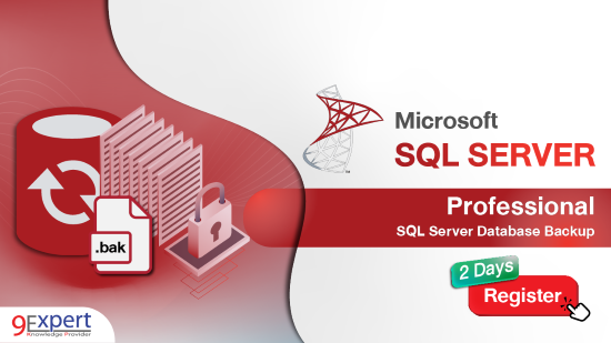 Professional SQL Server Database Backup | 9Expert