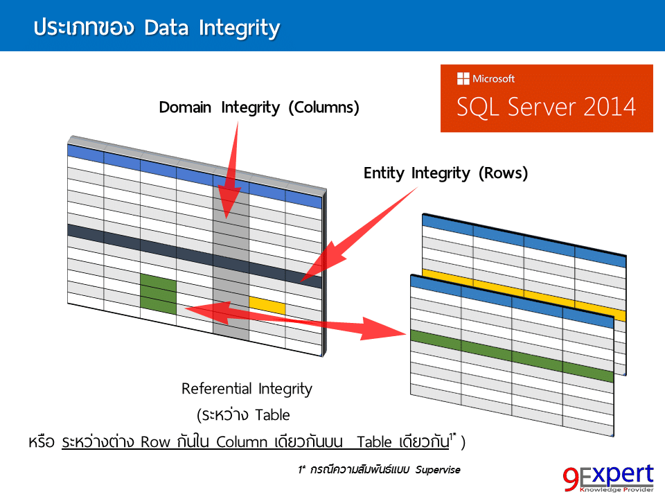 หลักสูตร Microsoft Sql Server Database Development 9expert 